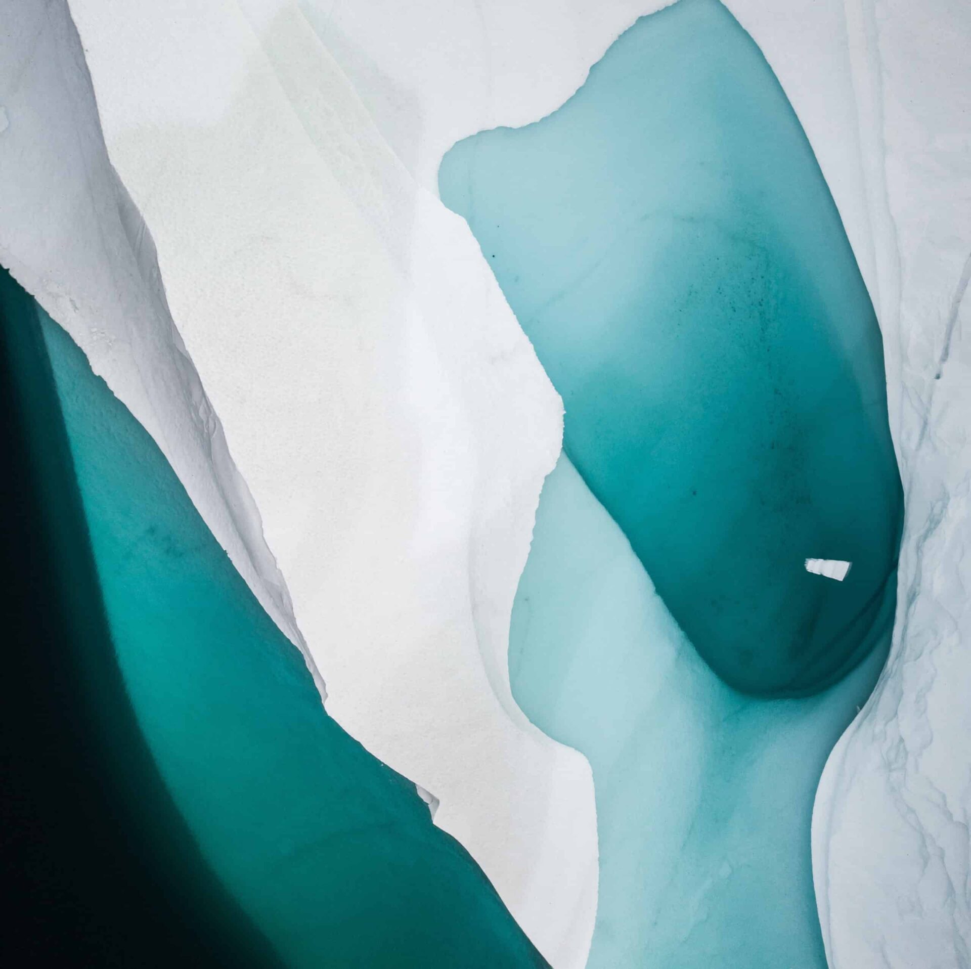 About - Green Impact Partners