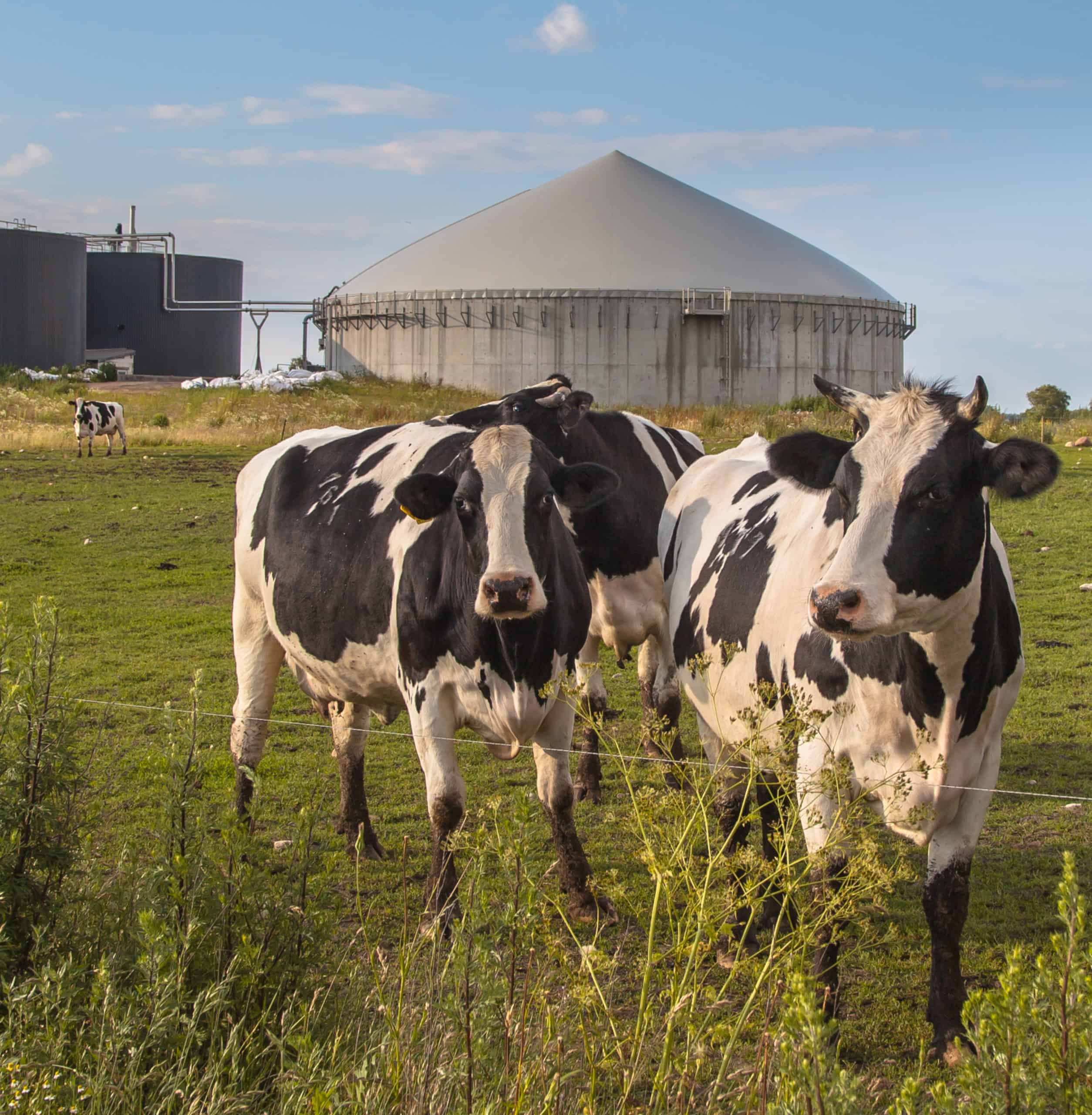 Green Impact Partners Provides an Update on Its RNG Project in Iowa ...